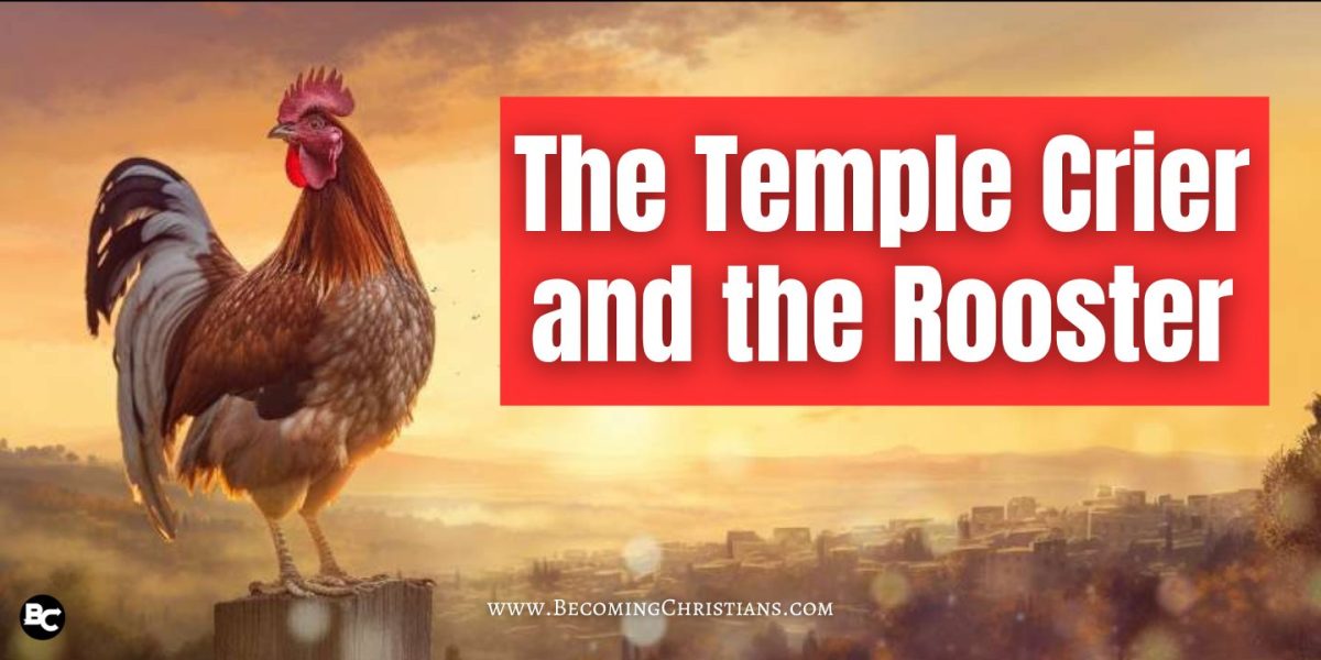 Was it a Rooster Crowing During Peter's Denial of Christ?